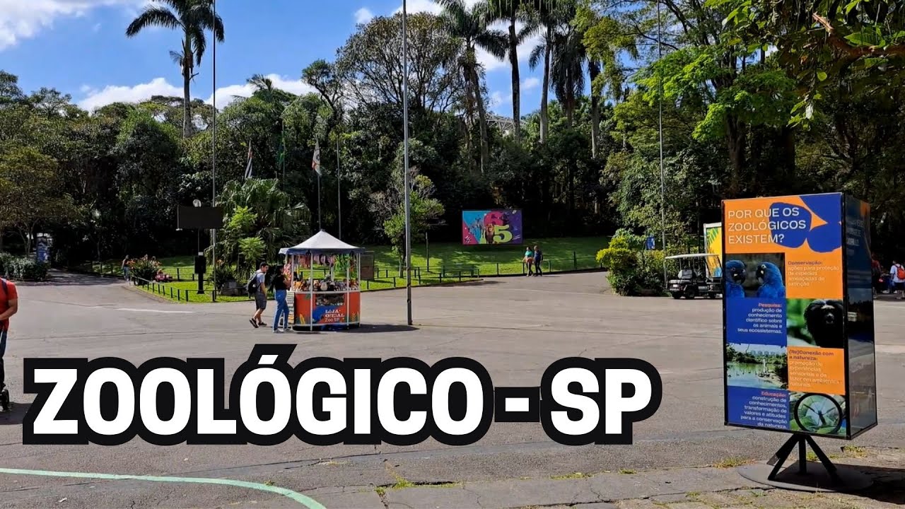 PASSEIO NO ZOOLÓGICO DE SÃO PAULO | VISITAMOS O ZOO SP - YouTube