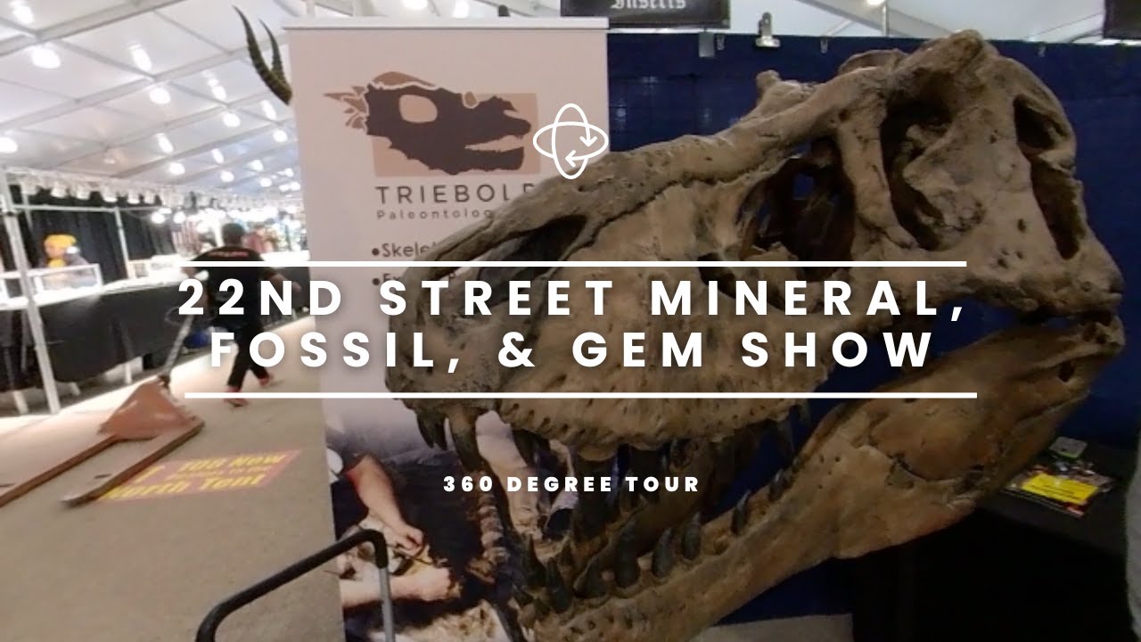 22nd Street Mineral, Fossil, & Gem Show - 360 Degree Tour - YouTube