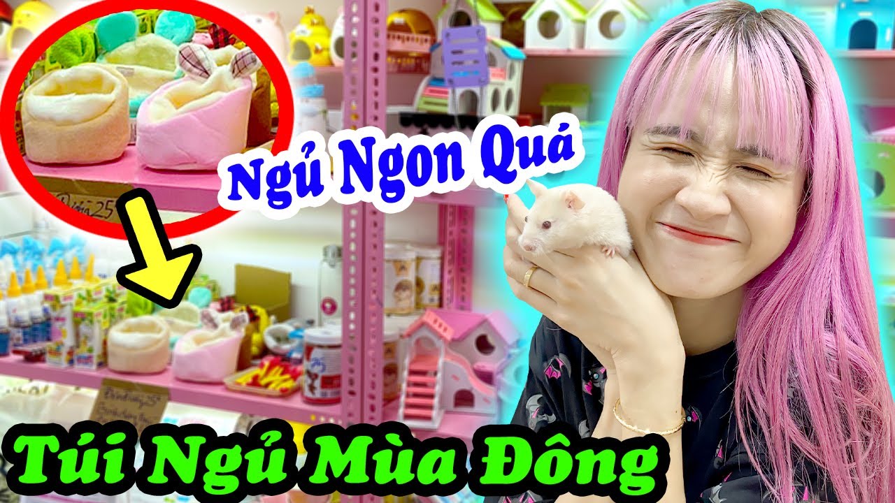 Mua Túi Mền Mới Cho Chuột Hamster - Vê Vê Channel - YouTube