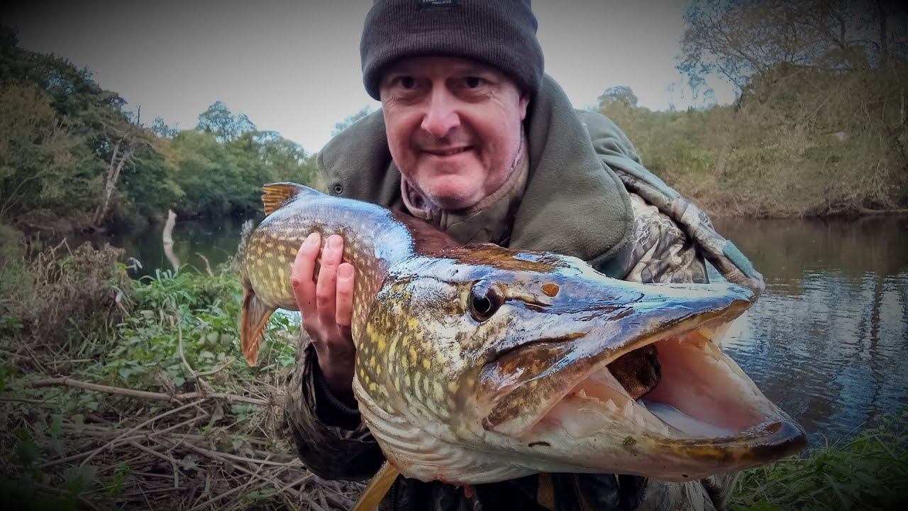 River Tees Pike Fishing 14 10 2023 - YouTube