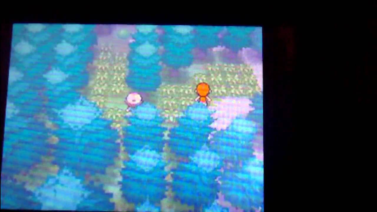 Pokemon Black and White Walkthrough Part 12: the Pinwheel Forrest ...
