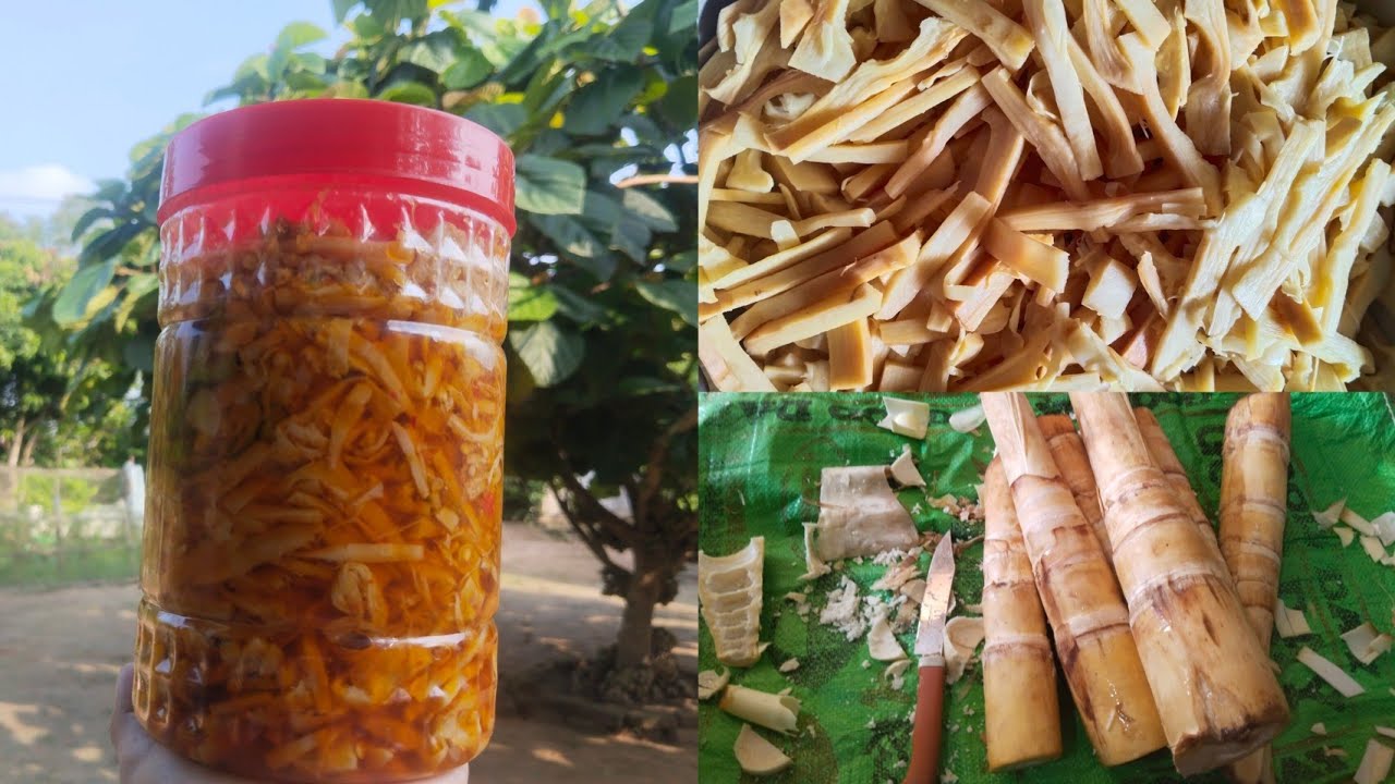 Bamboo shoot pickle recipe - YouTube