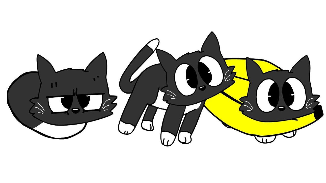 Maxwell Cat Evolution | Maxwell Cat Animation - YouTube