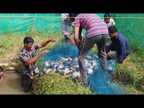 Kerala wild fishing time..at enathu