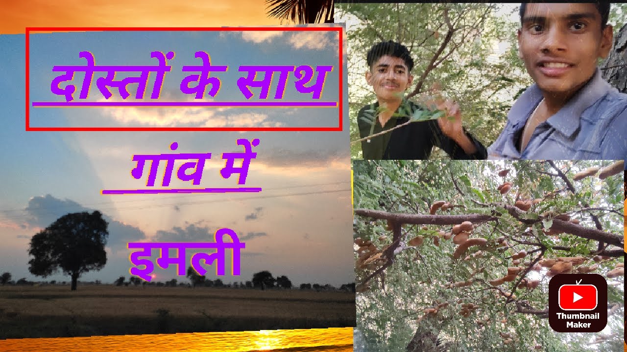 #imli#Tamarind#blog#village#gao#food#sourabh - YouTube