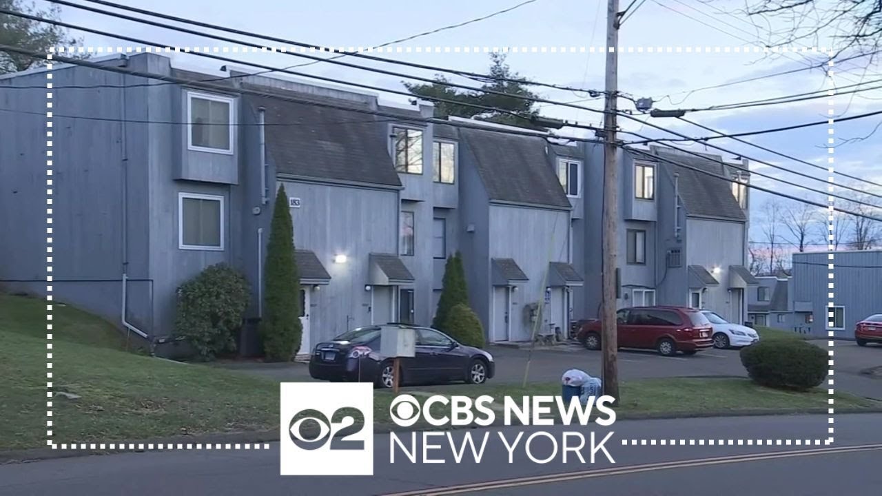 Police seek suspects who tried to steal a cat from Connecticut home ...