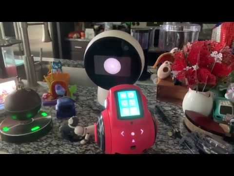 Miko 2 - What Can Miko Do? (Daily Report) - YouTube