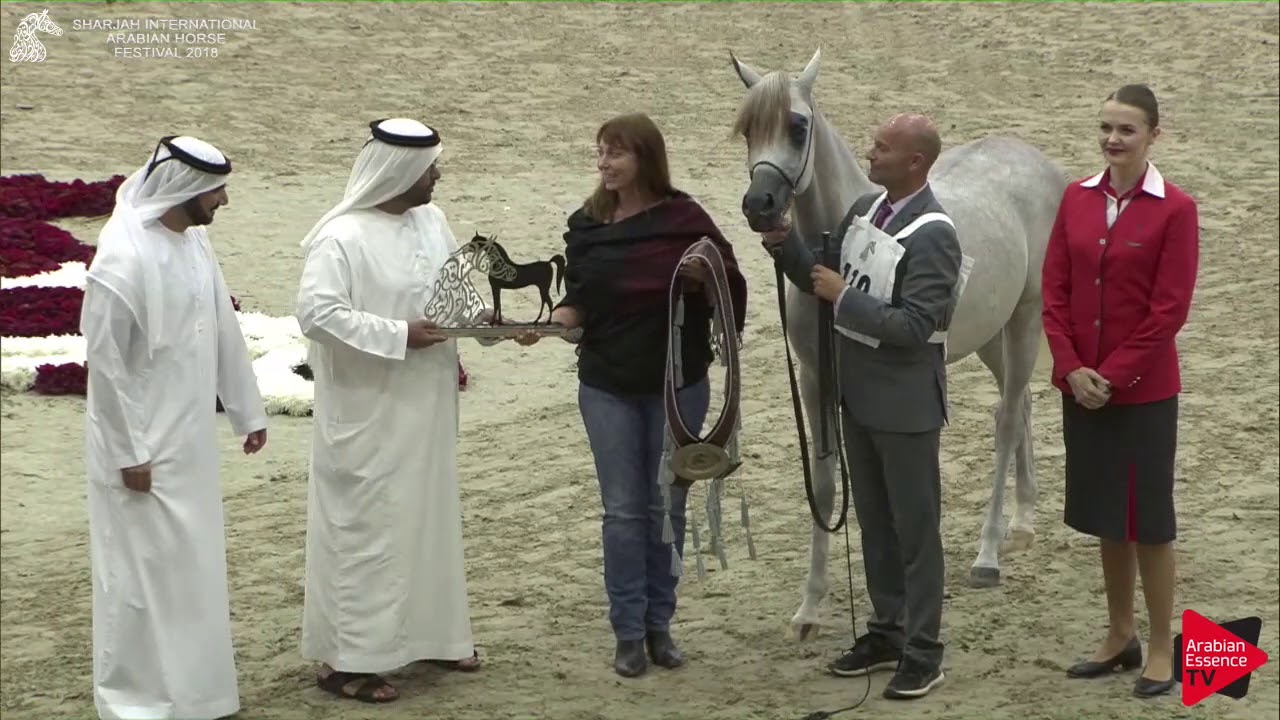 N.118 SINMAR ALBIDAYER - SILVER - Yearling Colts Championship - YouTube
