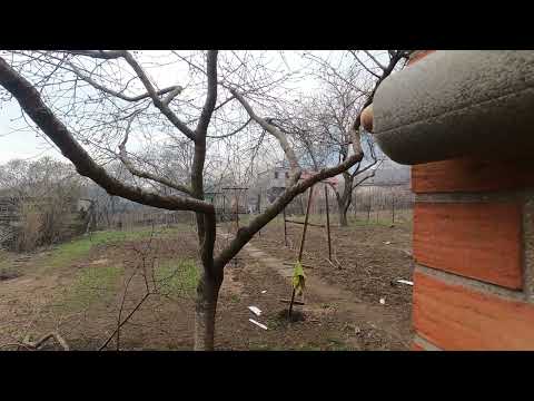 Группа СпН ⚒️🇷🇺🫡🙏 - YouTube