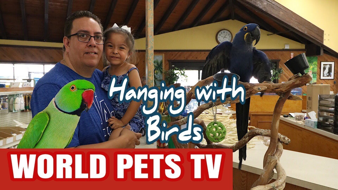 Magnolia Bird Magnolia Bird Farm Riverside, 57% OFF