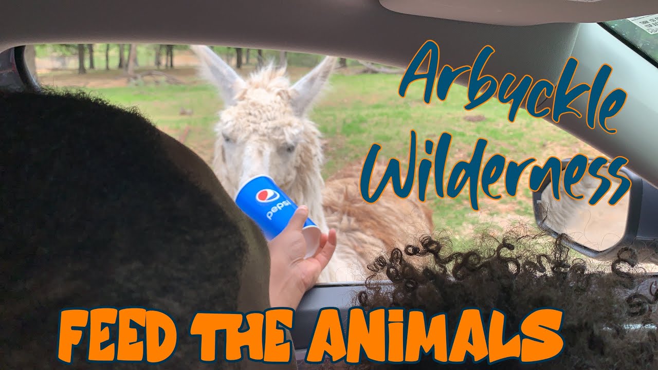 Arbuckle Wilderness Oklahoma | Drive Thru ZOO (ALL animals) - YouTube