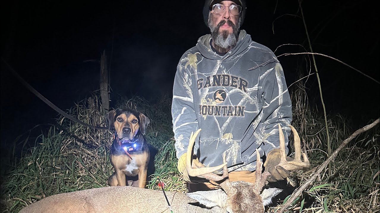 Bow hunting. Dog used to track deer. Tactacam 6.0. Muzzy fixed blade ...