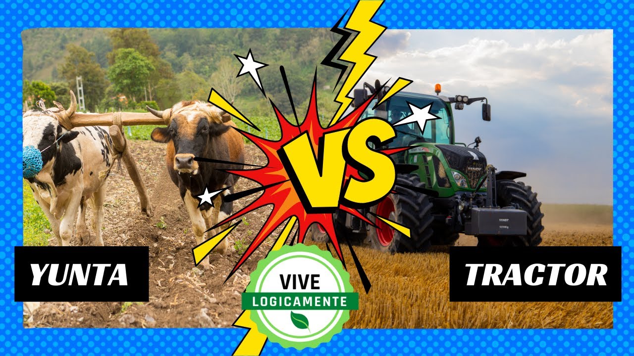 Tractor Vs Yunta de Bueyes #vivelogicamente - YouTube