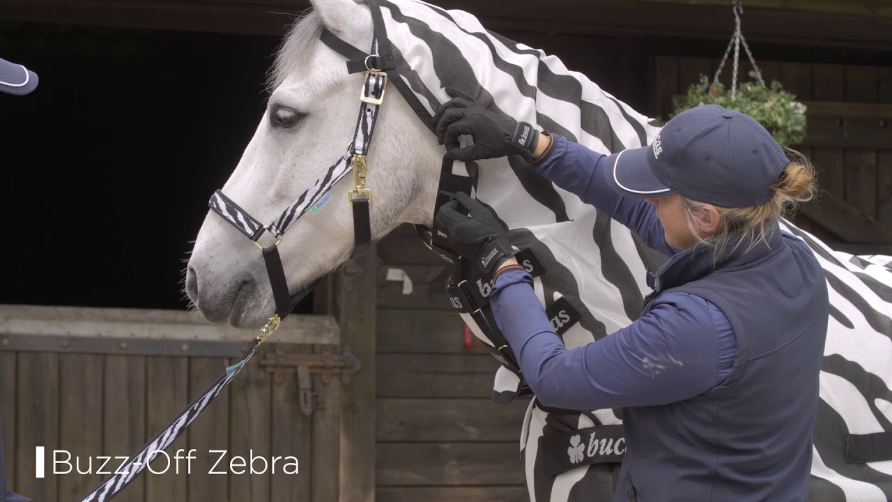 Bucas Buzz-Off Fly Rug with Full Neck - How To Fit - YouTube