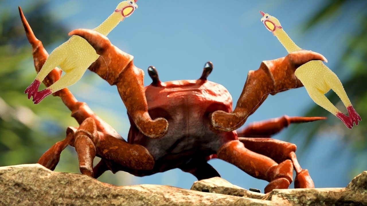 Crab Rave - Chicken Cover - YouTube