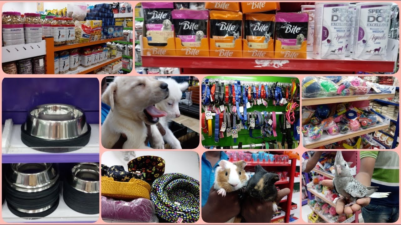 Pets Shop in Coimbatore |Dogs,Parrots,Fish,Hamster,Foods,medicine ...