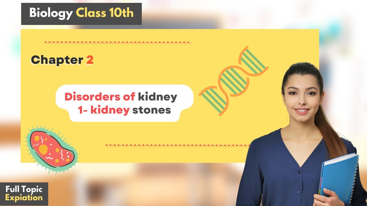 Class 10th | Biology | Chapter 2 | Disorders of kidney 1- kidney stones ...