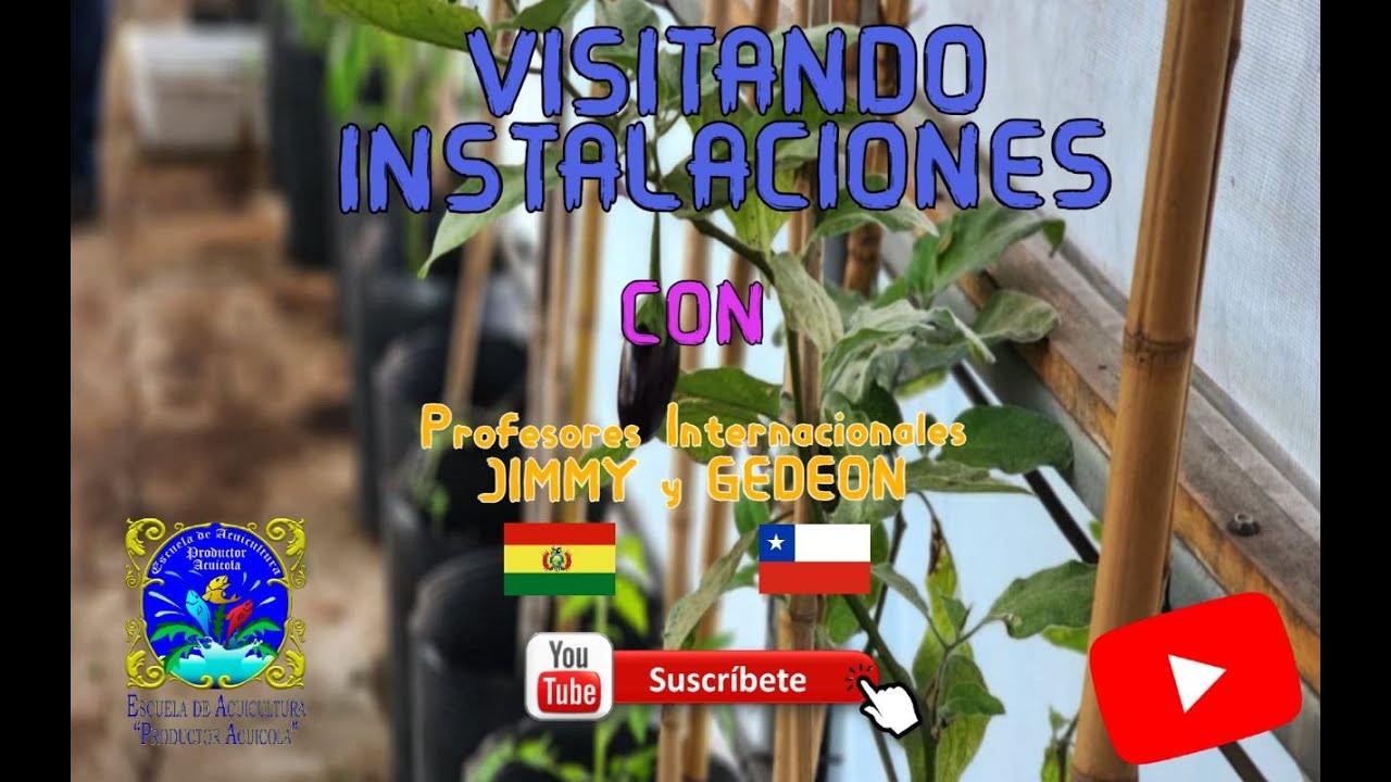 Docentes Gedeon y Jimmy en el establecimiento de Eugenio Garcia - YouTube