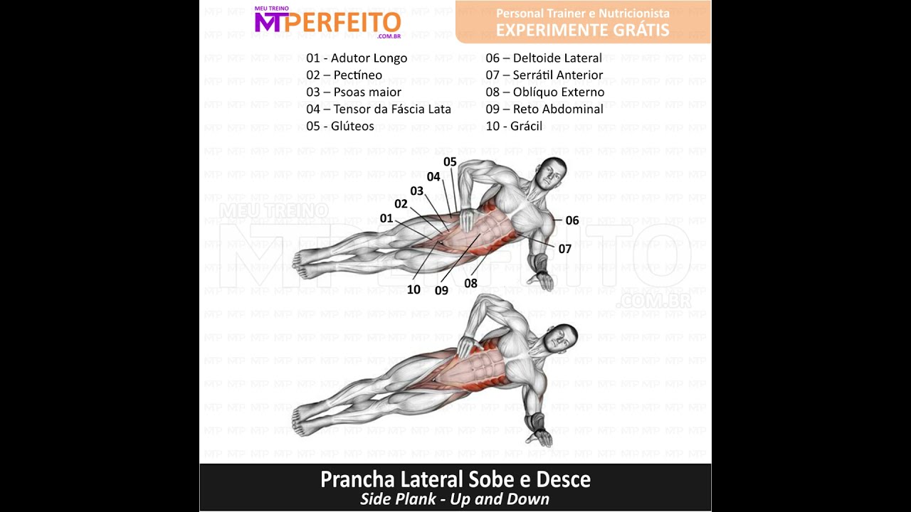 Prancha Lateral Sobe e Desce - Músculos Trabalhados - YouTube