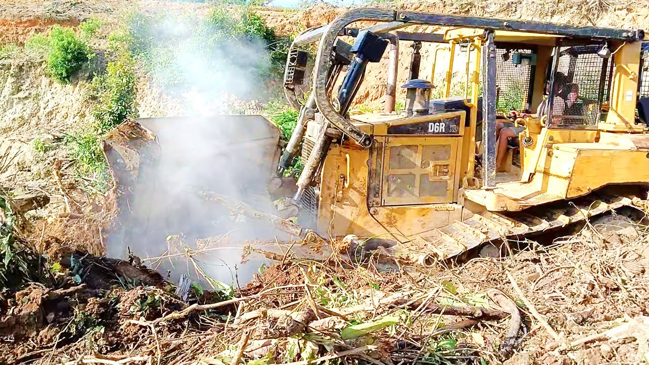 When the D6R XL Bulldozer Working in an Oil Palm Plantation Suddenly ...