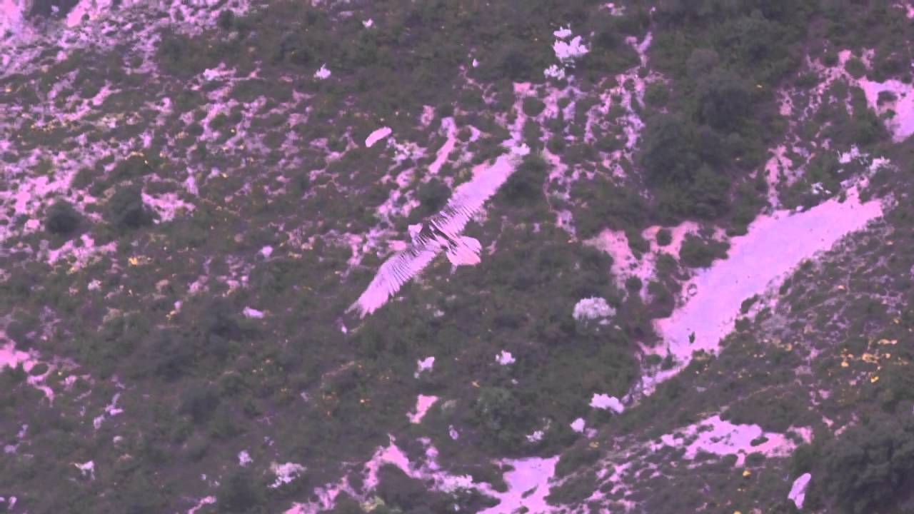 Lammgam 720p - YouTube