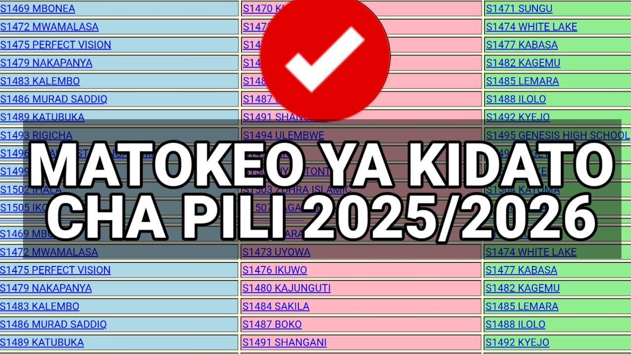 🔴 MATOKEO YA MTIHANI WA KIDATO CHA PILI 2025 NECTA FORM TWO RESULTS ...