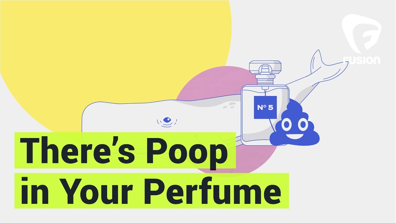 Many high-end perfumes and colognes are made from...whale shit! - YouTube