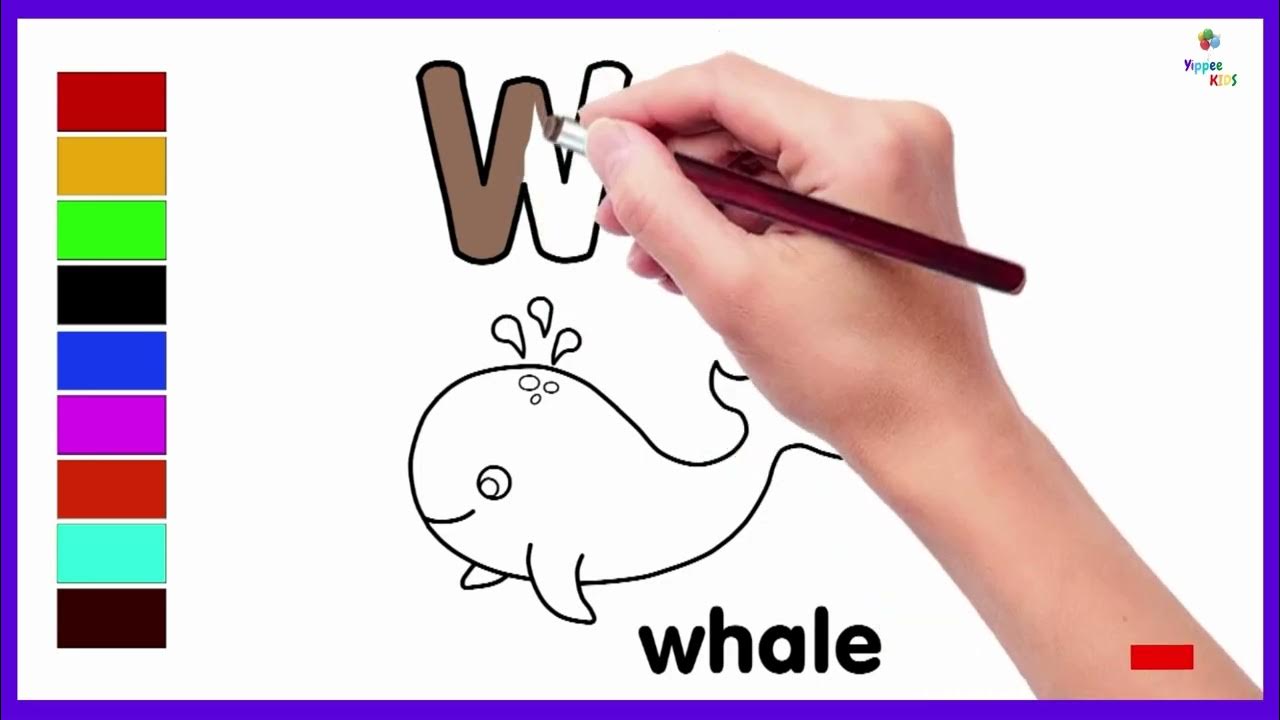 Learn Letter W | Draw and Color English Letter | Alphabet for Kids ...