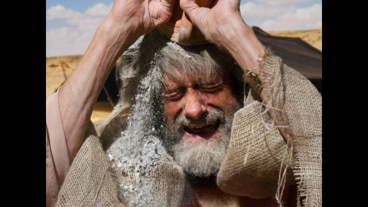 (7/53) HOW TO GET ON THE ARK = Wear your SACKCLOTH and ARMOR of YHWH ...