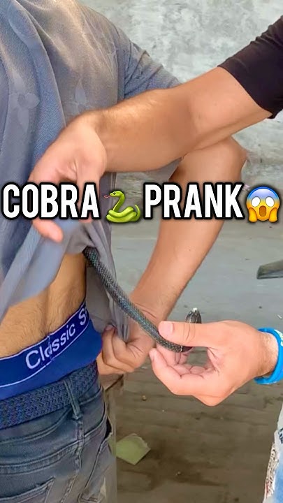 Funny 🤣 cobra 🐍 prank #funny 🤣#comedy 🎭#publiceprank @R-k-pranks 🤣🤣🤣🤣🤣🤣🤣🤣🤣🤣🤣🤣 - YouTube