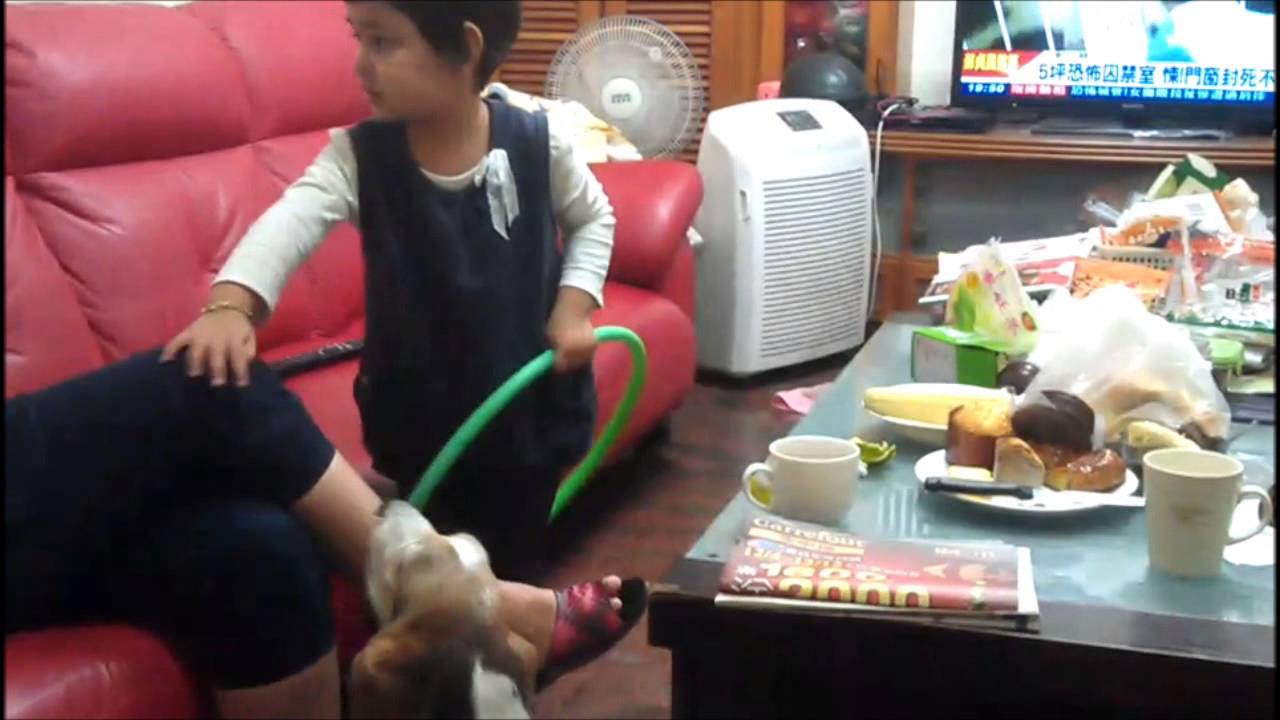 dog barks at the girl, she bark at her mom - YouTube