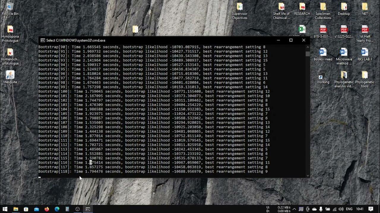 #6 - Maximum Likelihood Analysis using RAxML - Part 2 (windows) - YouTube