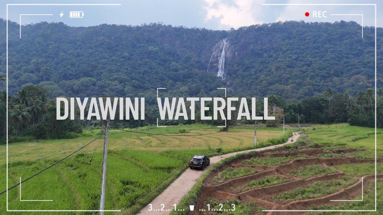 "Road Trip to Diyawini Waterfall – Ultimate Travel Guide!" - YouTube