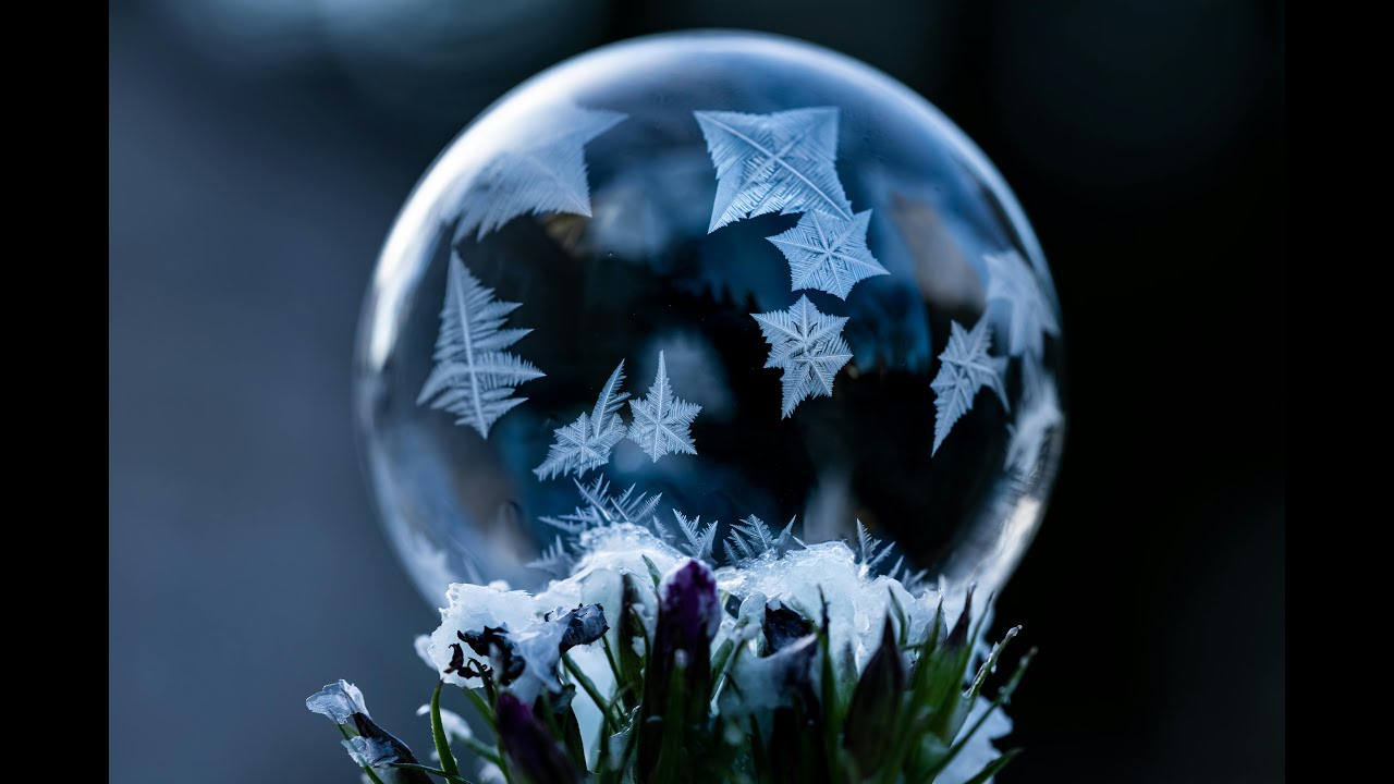 Bubble Lo-fi Beats to Study/Relax/Sleep [ no copyright music ] - YouTube