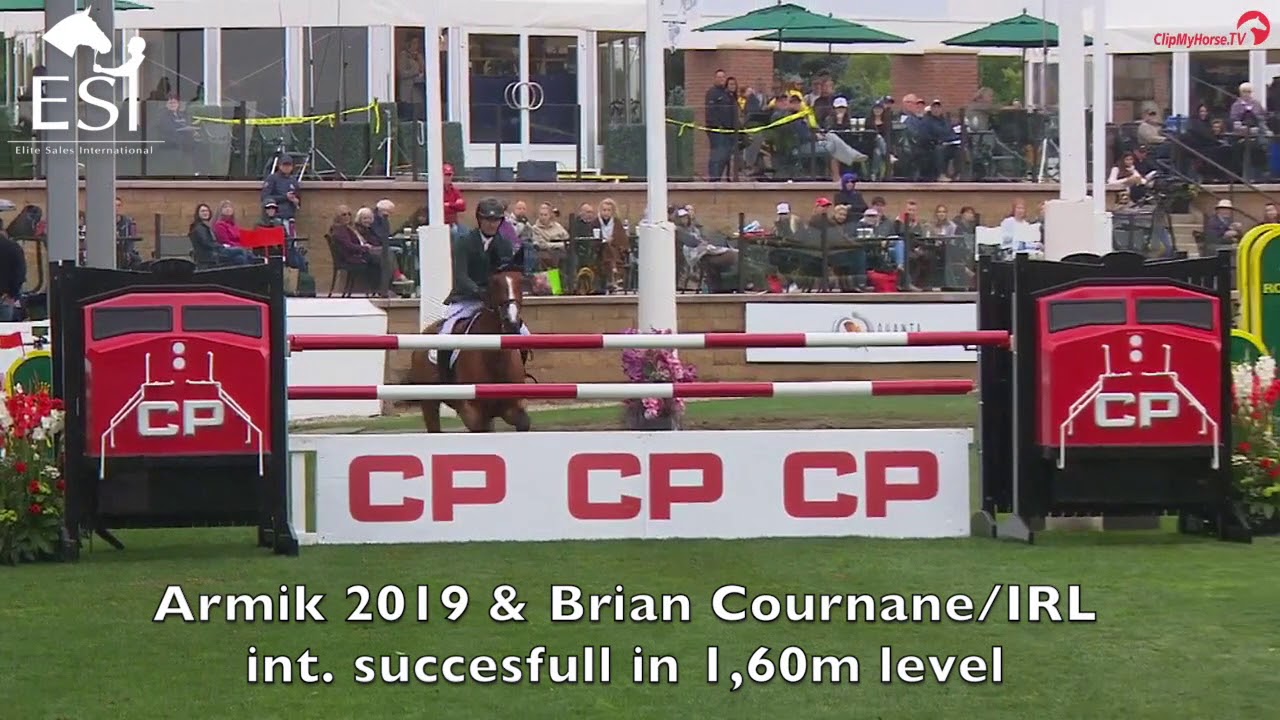 ESI References ARMIK by Armitage x Justinian xx & Brian Cournane IRL ...