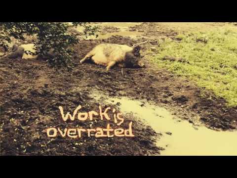 Work is overrated - YouTube