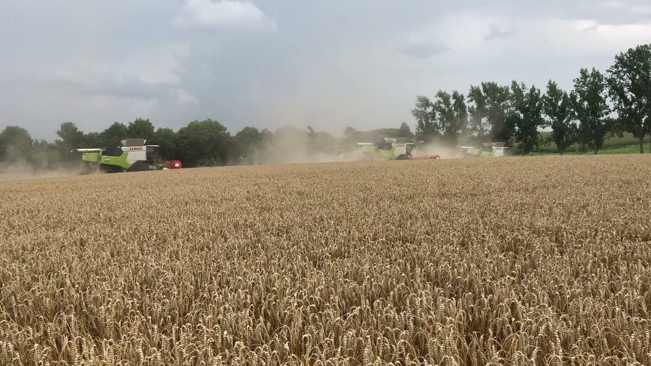 Claas Trion 750, Trion 730, Trion 660 and Trion 550 combines harvesting ...