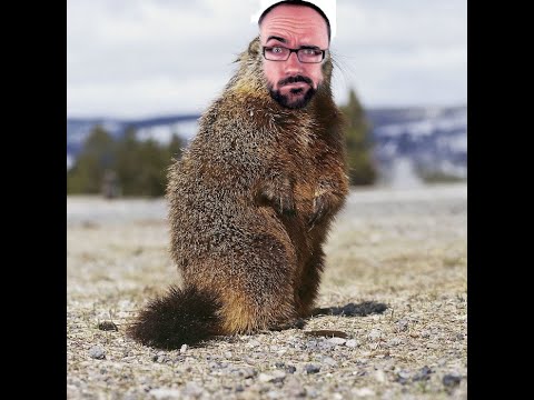 HEY VSAUCE GOPHER HERE - YouTube