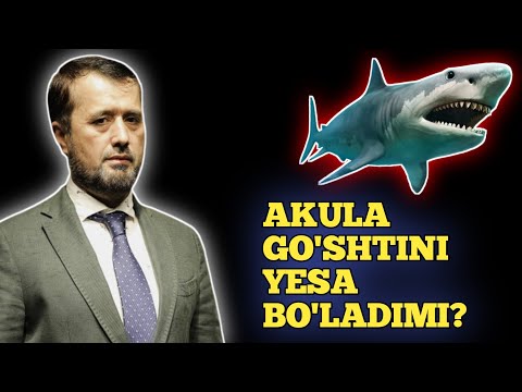 AKULA GO'SHTINI YESA BO'LADIMI | ABROR MUXTOR ALIY