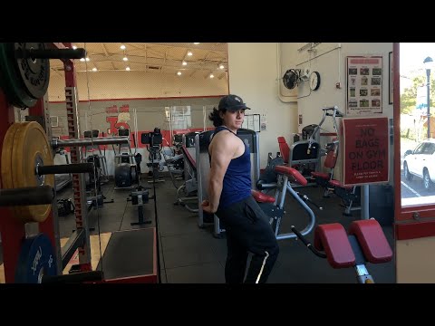 Bulk Day 127 (Arms) - YouTube