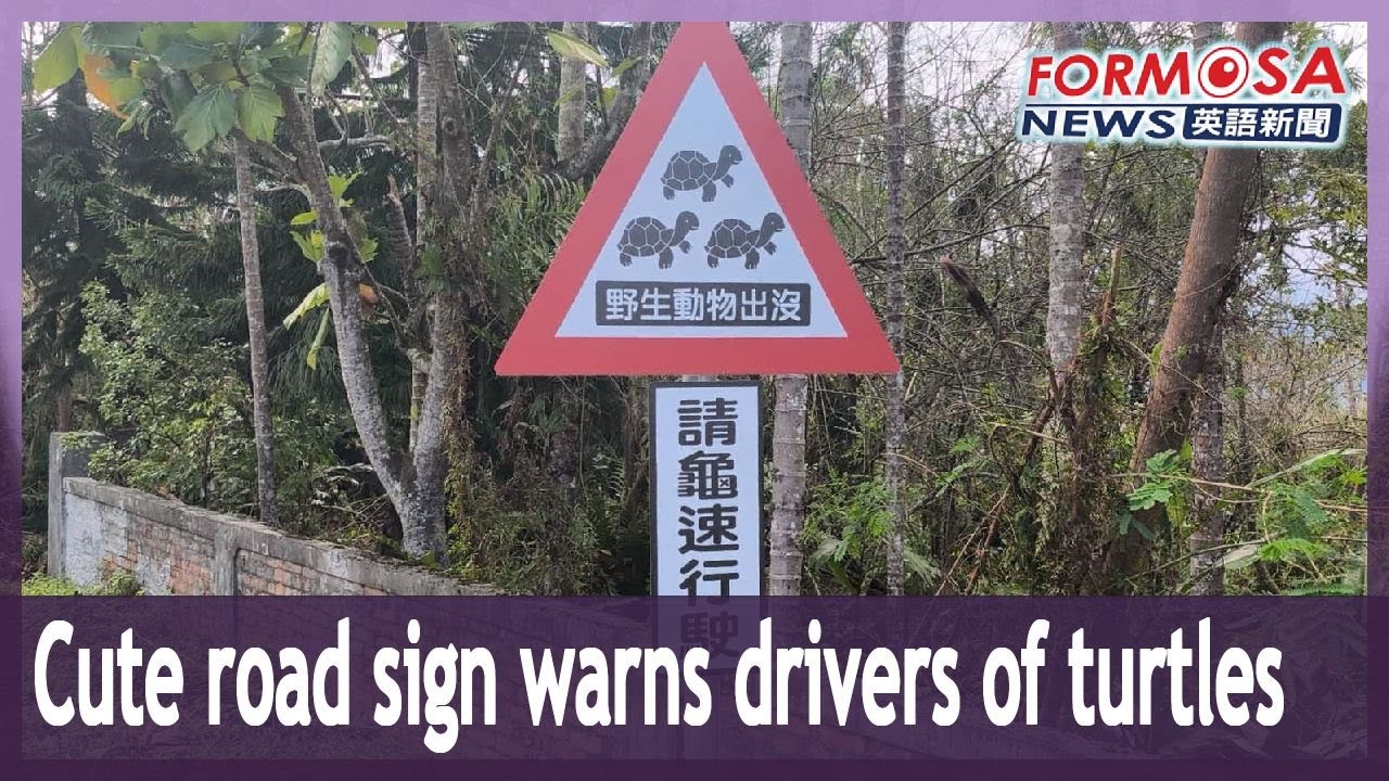 Cute road sign warns drivers of turtles｜Taiwan News - YouTube