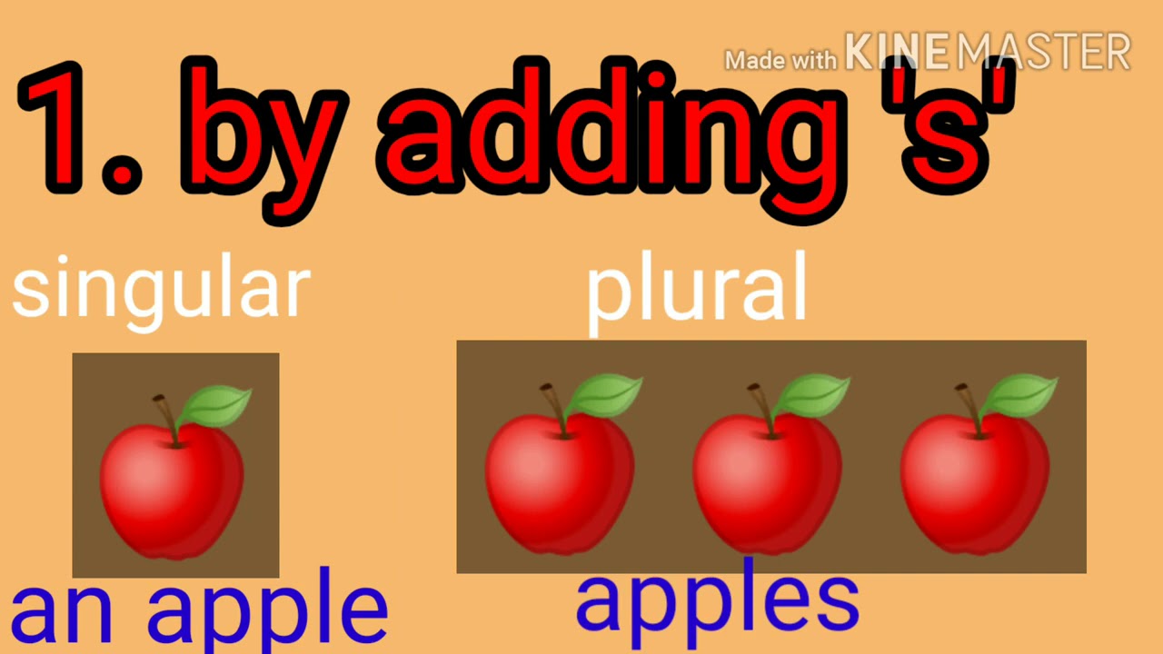 One and Many Singular to Plural Class 1, Subject English - YouTube