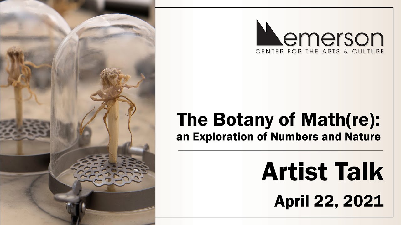 The Botany of Math(re) – Artist Talk with Susie Mathre - YouTube