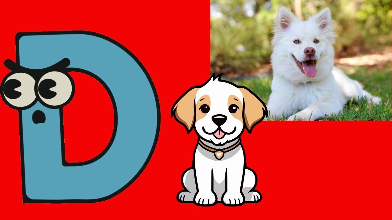 "Letter D Song for Kids | Learn the Alphabet with Fun & Music!" - YouTube