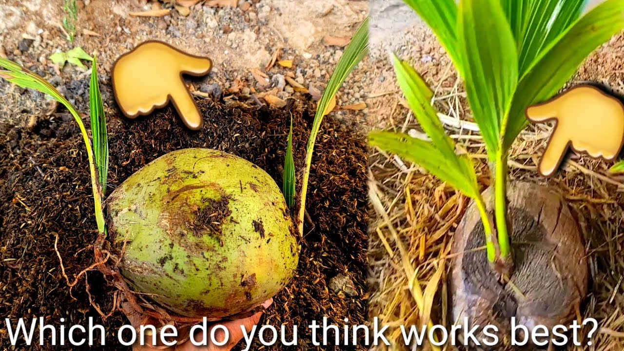Which one do you think works best? - YouTube