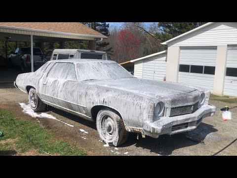 Abandoned Monte Carlo gets First Wash in Decades!