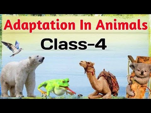 class 4 chapter 3 science adaptation in animals question/answers part D ...