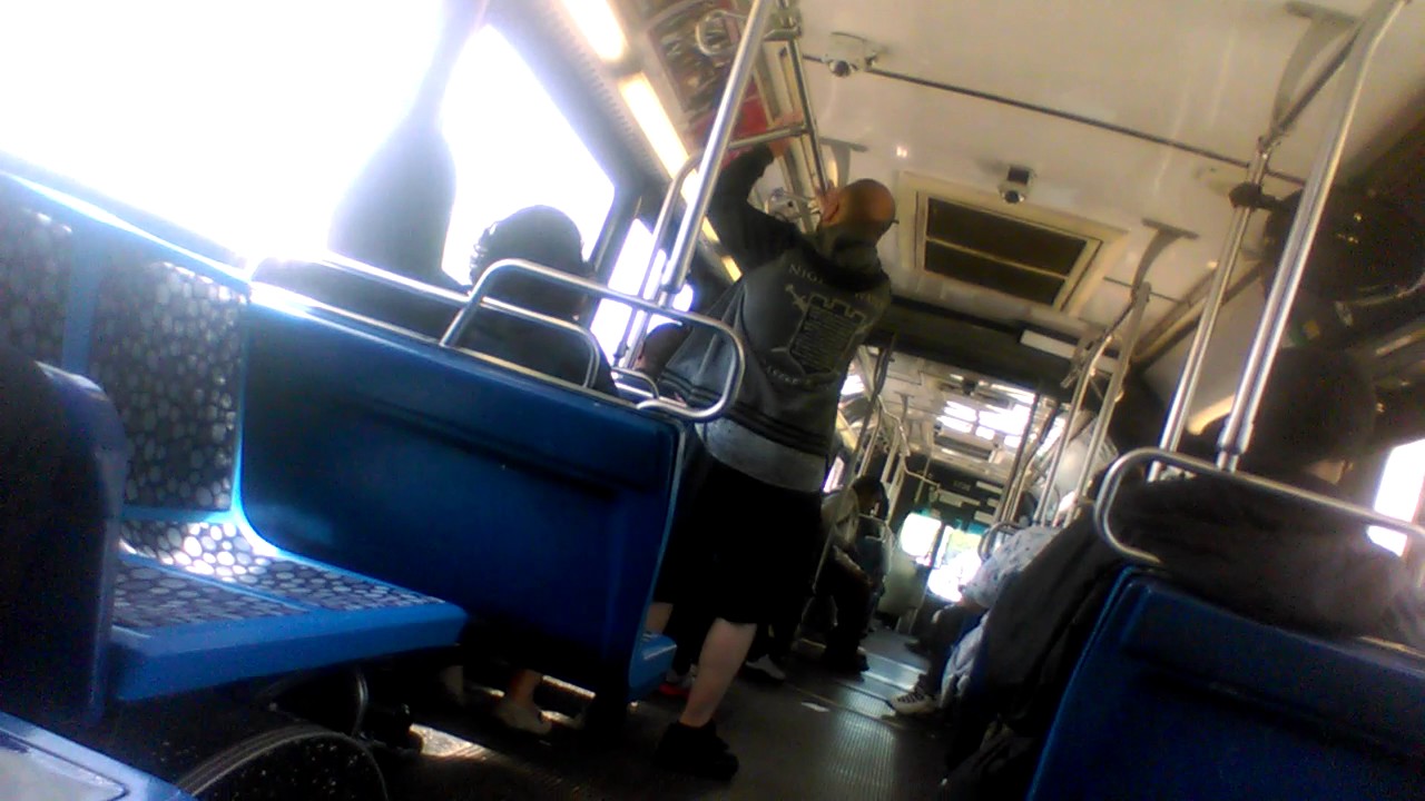 Riding Inside Bx12 Bus (2004 New Flyer D60HF #5736) In The Bronx - YouTube
