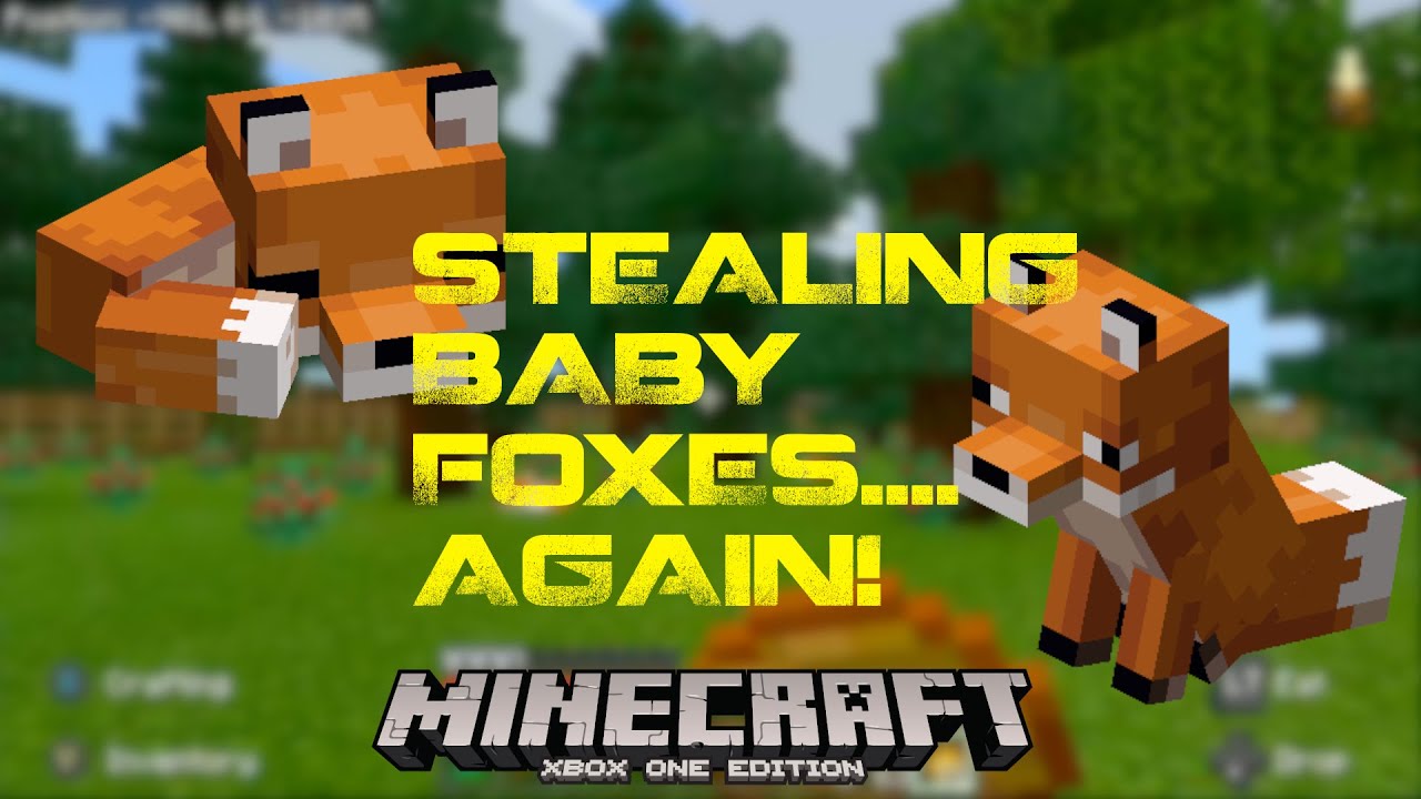 The Great Fox Breeding/Stealing Babies Excursion Of 2020 - Minecraft ...