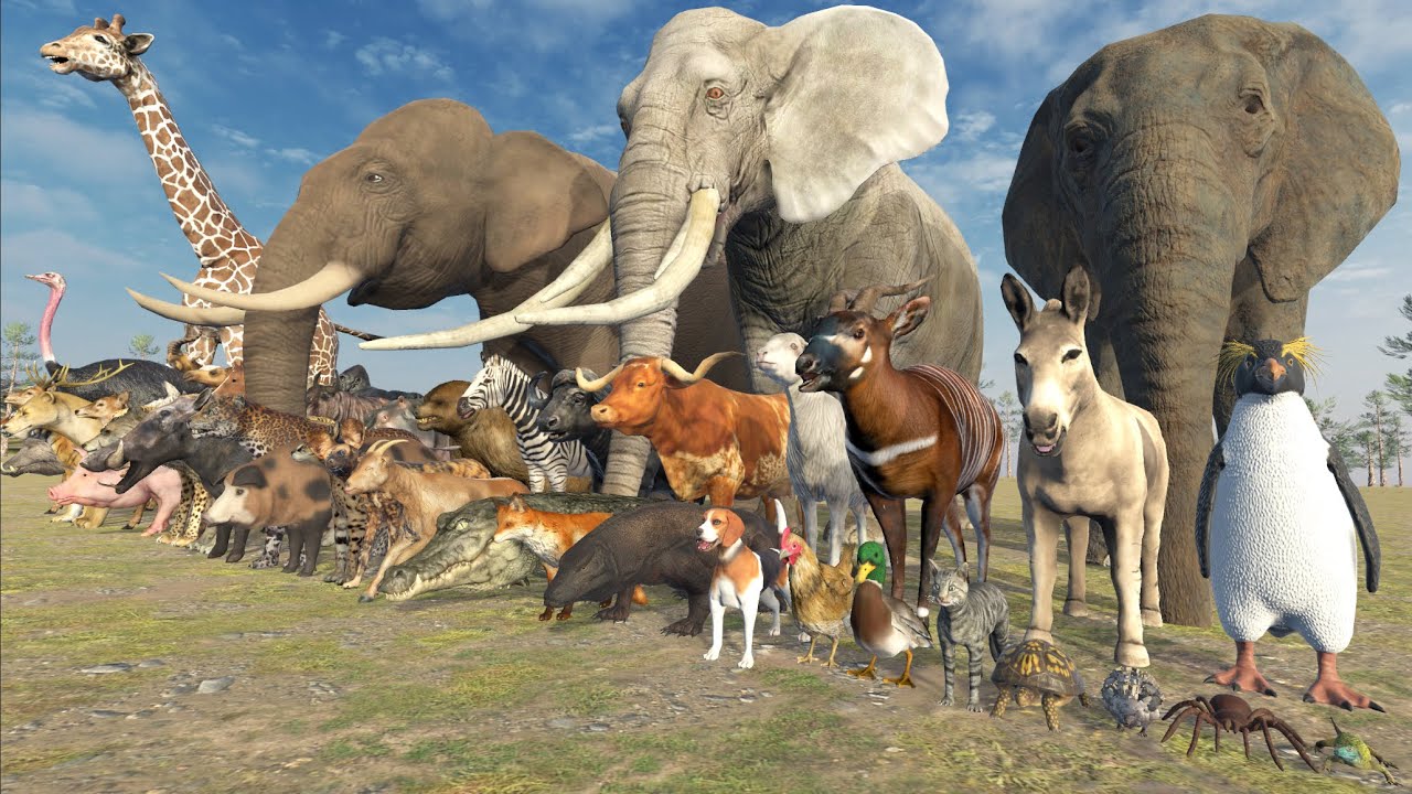 Animal Size COMPARISON in 3D Animation | Realistic World Data - YouTube